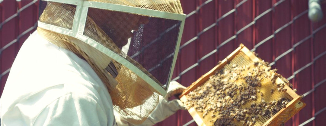 Our Story – Portland Bee Balm